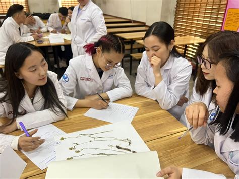 Шинэ Анагаах Ухаан Их Шинэ Анагаах Ухаан Их Сургууль