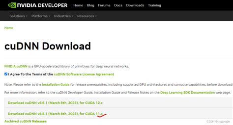 全网最新最全的基于tensorflow和pytorch深度学习环境安装教程 Tensorflow 2101 加 Cuda 118 加
