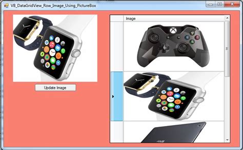 VB NET How To Update DataGridView Image With PictureBox Using VB NET C JAVA PHP