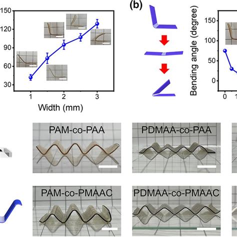 Generality Validation A Bending Angle Of Hydrogel As A Function Of