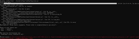 Windows Wsl Runtimeerror Wrong Inputs Arguments Please Refer To