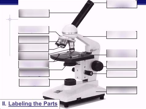 Biology Microscope Quiz Diagram Quizlet