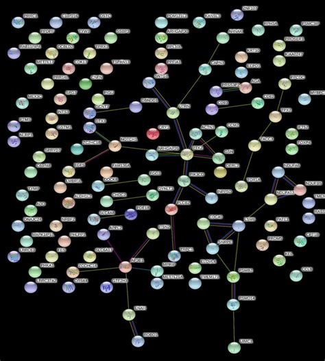 Weighted Correlation Network Analysis Of Multiple Sclerosis