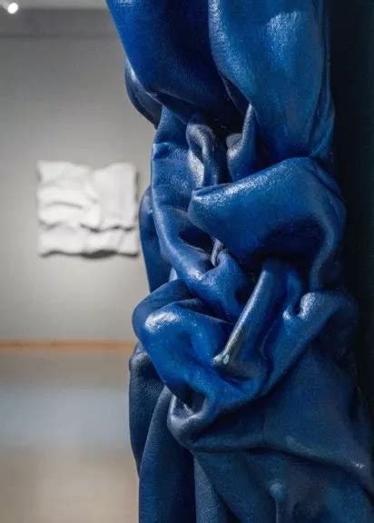 Wang Xiaosong Verbringt Zeit Im Schütz Art Museum