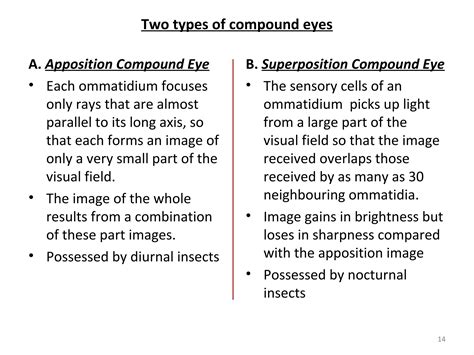 Basic Entomology External Features Of Insects Ppt