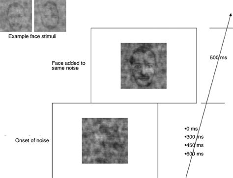 Sample Stimuli From Experiment 4 Download Scientific Diagram