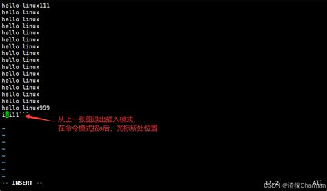 linux基础开发工具—vim vim的中文含义 csdn博客