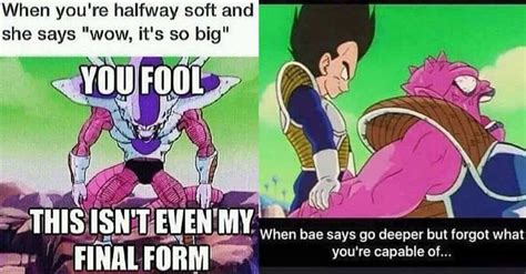 22 Dirty Dragon Ball Z Memes About Sex