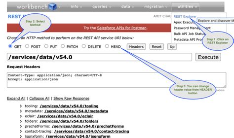 Ultimate Salesforce Workbench Guide Apex Hours
