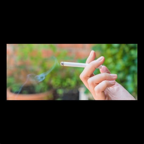 Sigara Tespit Sistemi Object Detection Dataset And Pre Trained Model By Sigaratespitsistemi