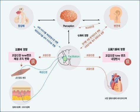 전주 이진복한의원 연관통과 한의학