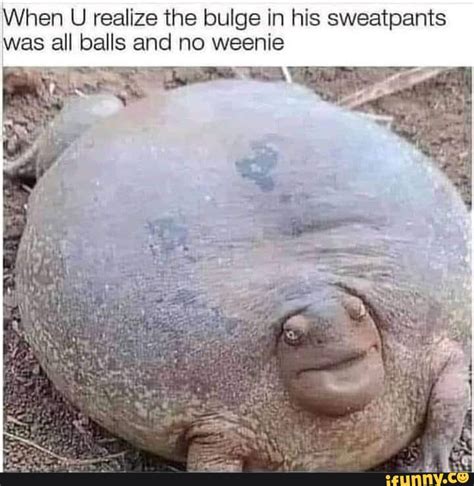 Weenie Memes Best Collection Of Funny Weenie Pictures On Ifunny