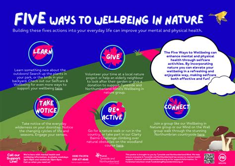 5 Ways To Wellbeing In Nature 2 1024x724png