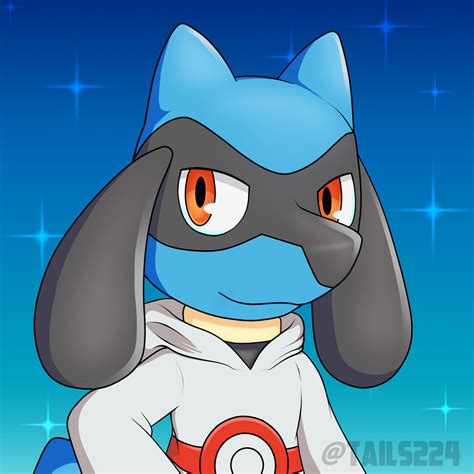 Riolu Honor Ball Hoodie By Tails224 On Deviantart