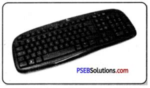 PSEB Th Class Computer Notes Chapter Input Devices PSEB Solutions