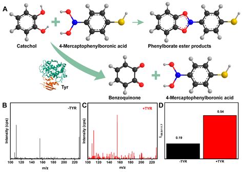 Sers Based Microneedle Biosensor For In Situ And Sensitive Detection Of Tyrosinase