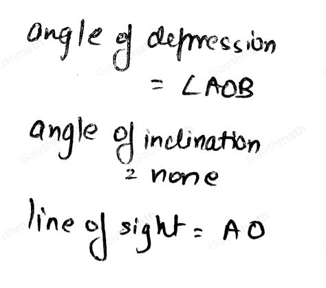 Solved Activity 2 Identify Me In The Following Figures Identify The Segment That Represents