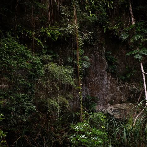 Susannah Louise Photography Brisbane Qld