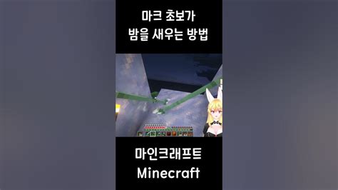 마크초보가 밤을 새우는 방법 Shorts 마인크래프트 Minecraft 마크 게임 Gaming Youtube