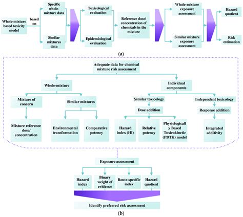 Individual And Whole Mixture Based Toxicity Models For Exposure