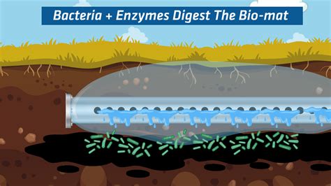 Septic Liberator Ecostrong