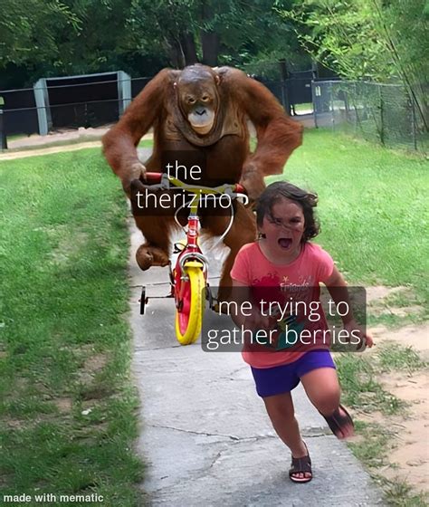 Meme R Ark
