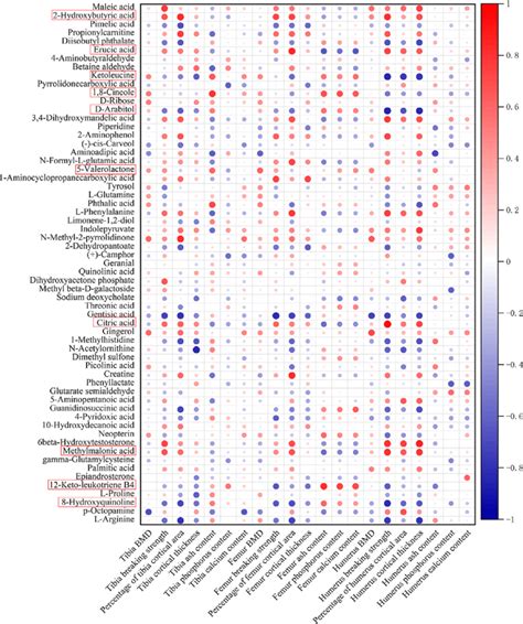 heatmap of correlation coefficient matrix between annotated