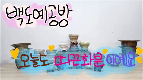 2025030686회영상식물이 살기좋은 반유약분도 있어요🪴🤗다육화분 야생화화분새화분반유약분명품화분고급화분수제화분공방분미니화분도자기공방분갈이도예가