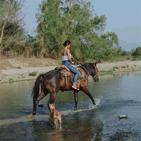 Top 5 Horseback Riding Tours In Hawaii Explore Big Island Today