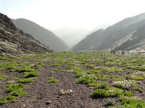 Reserva Quebrada La Chimba Hotel Licantay Antofagasta