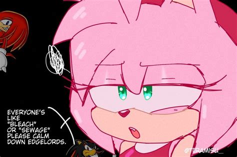 Twitter Amy Rose Amy The Hedgehog Sonic And Amy