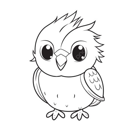 아이들을위한 귀여운 올빼미 색칠 페이지 개요 스케치 드로잉 벡터 왕관앵무 그리기 왕관앵무 개요 왕관앵무 스케치 Png 일러스트 및 벡터 에 대한 무료 다운로드