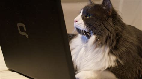 All Power Automate Text Functions With Examples All Power Automate Text Functions With Examples