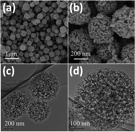 Ironnitrogen Co Doped Hierarchically Mesoporous Carbon Spheres As