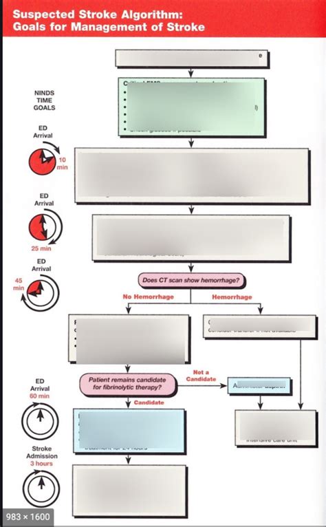 Suspected Signs Of Stroke Algorithm Diagram Quizlet Suspected Signs Of Stroke Algorithm Diagram Quizlet