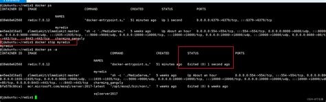 史上最详细docker安装redis （含每一步的图解）实战docker Redis Csdn博客