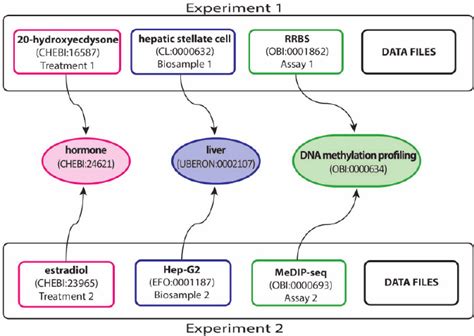 Experimental Metadata Annotated With Appropriate Ontology Terms This