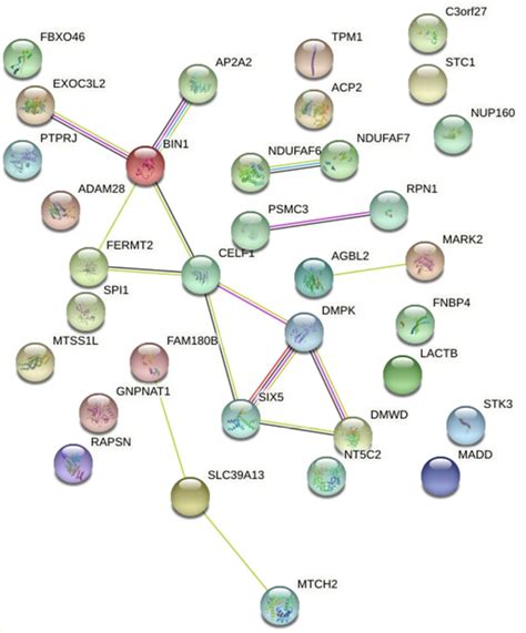 Tulane University School Of Medicine On Linkedin Identification Of Genetic Loci Shared Between