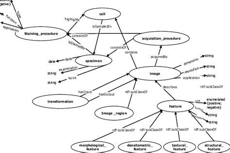 graph based representation of the main ontology classes download
