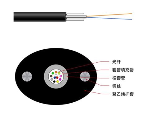 How To Select Dual Fiber Optical Module And Single Fiber Optical Module