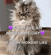 Funny Monday Meme S Tenor