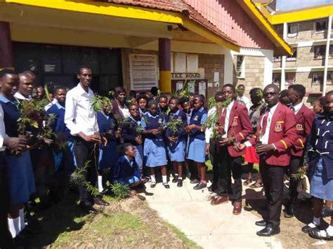 Kuccps Kmtc Application Now Open Guide On How To Apply Ke