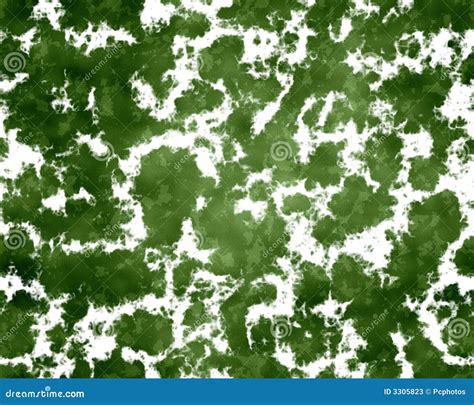 Verde Del Moho De La Textura Del Fondo Imagen Imagen 3305823