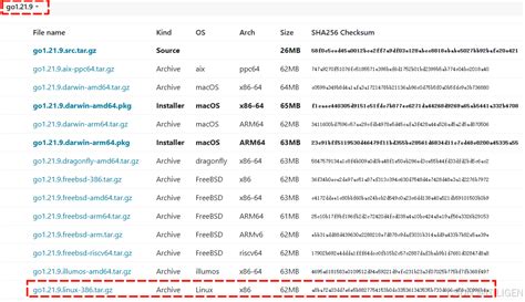 Golang Web开发环境配置golangweb开发 Csdn博客