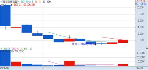 에스오에스랩 주가 전망 관련 핵심사항 살펴보기 240710