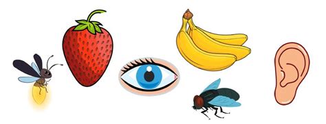 Classifying Objects Into Three Categories