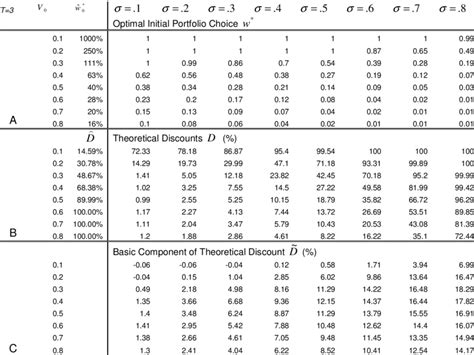 theoretical optimal portfolio choice and illiquidity discount