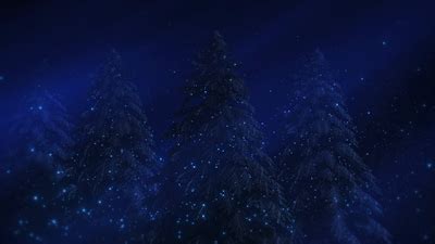 Twinkle Trees Dream Church Motion Graphics
