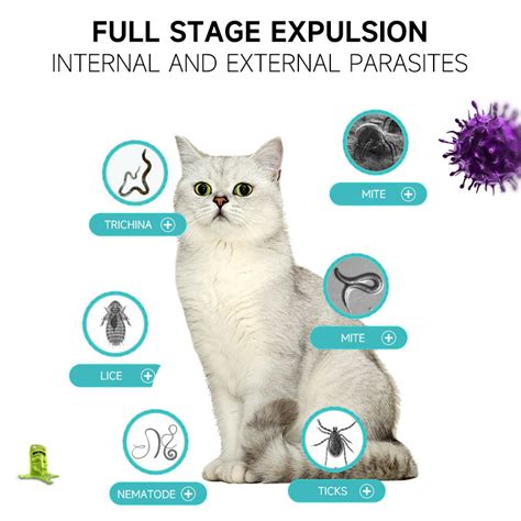 Tick And Flea Remover For Pets Dogs Anti Tick And Flea Itching Garapata