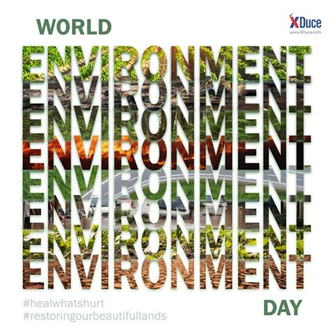 Xduce On Linkedin Xduce Worldenvironmentday2024 Savetheplanet